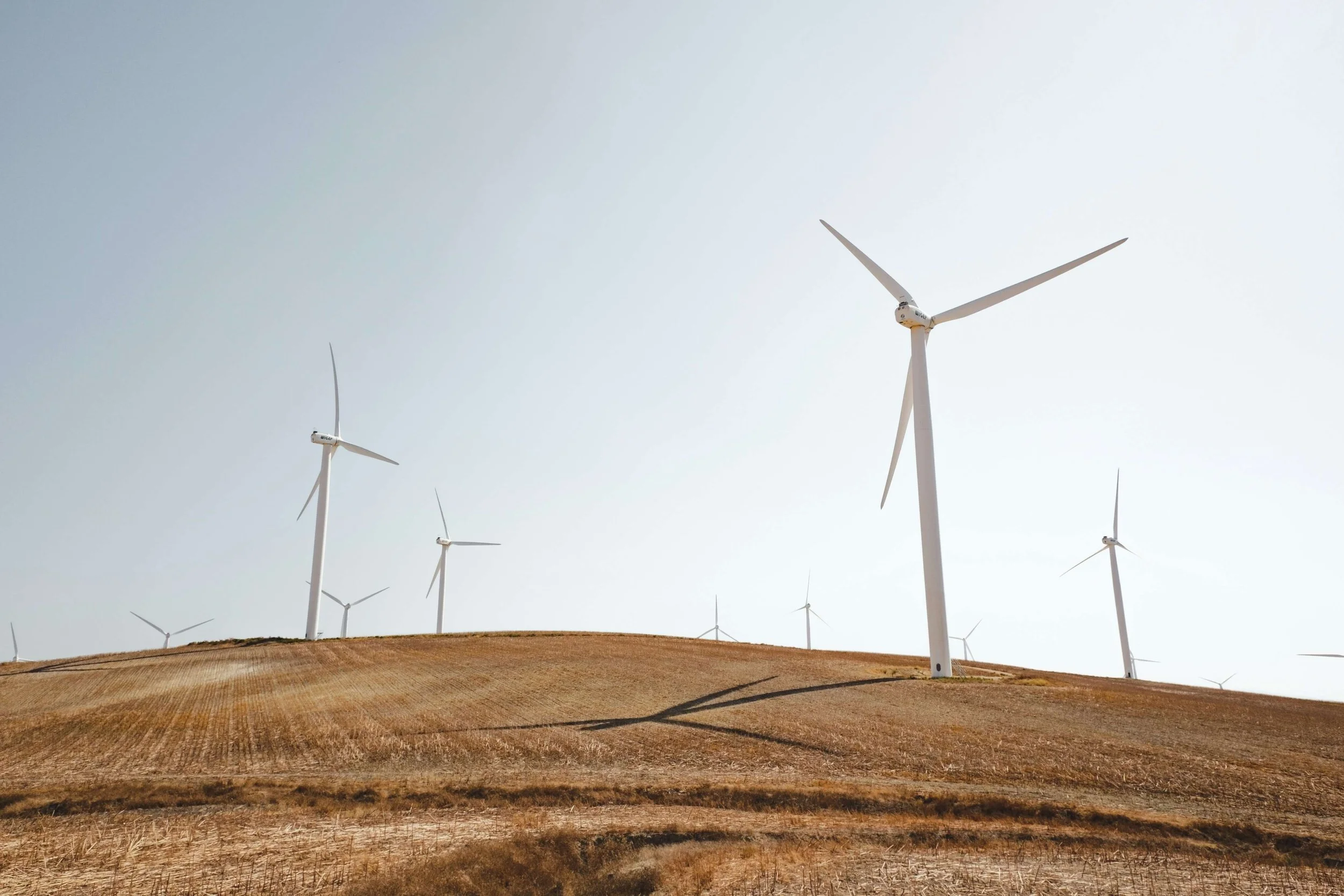 For Homebuyers — Minnesota's Green Path
