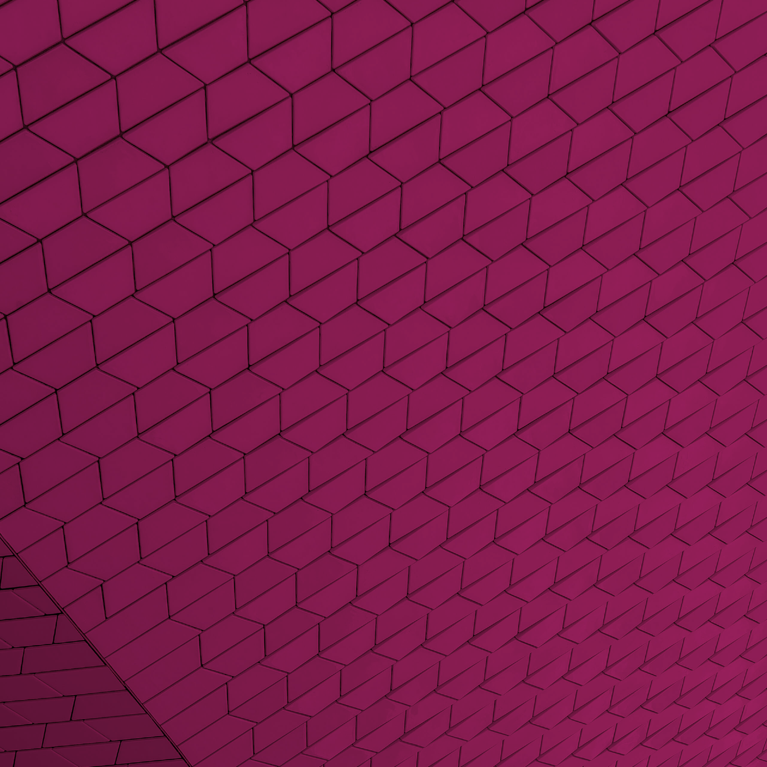 Minnesota's Green Path