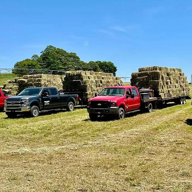 Our crops — Main Farms