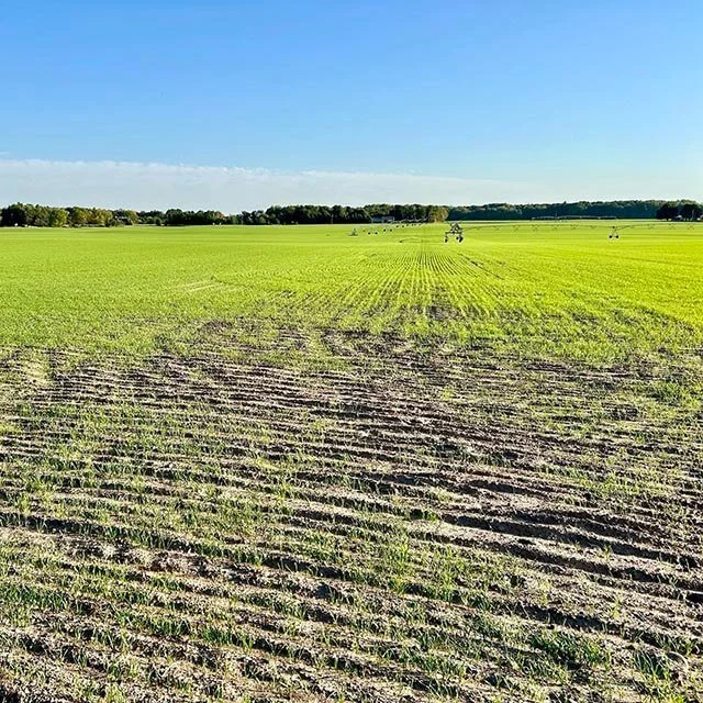 Our crops — Main Farms