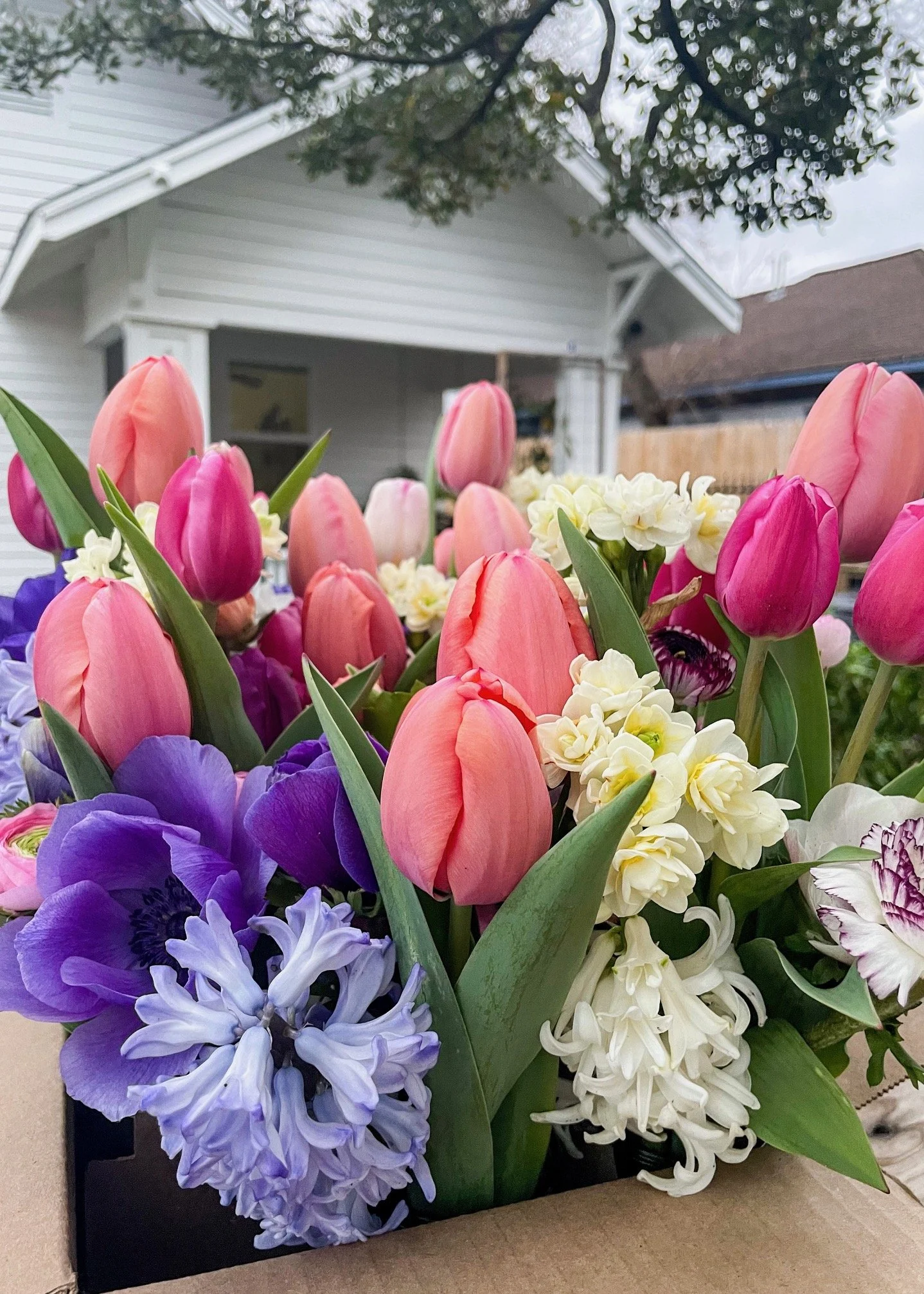 COURSES — Bungalow Blooms