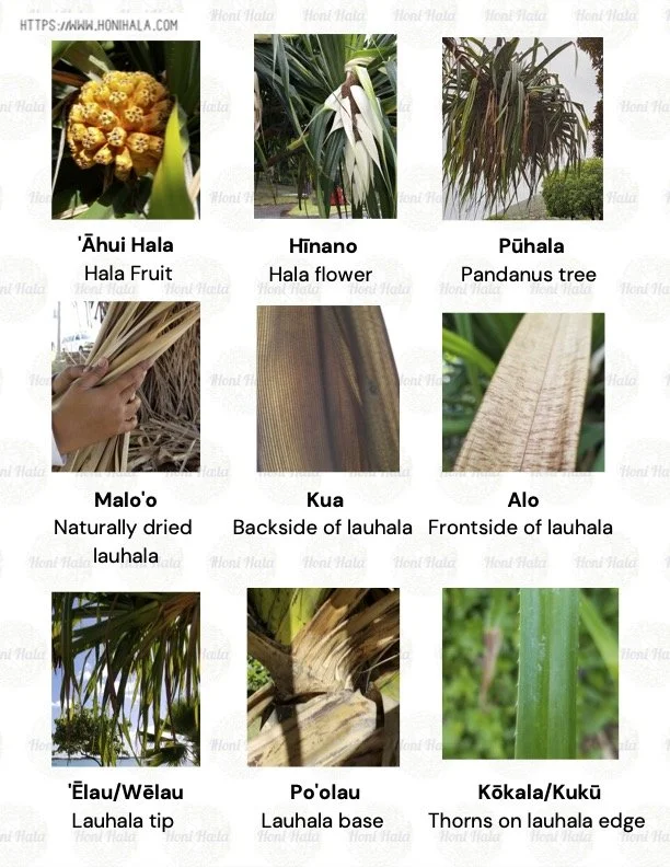 Resources — Ke Kula 'o Po'owai Nui