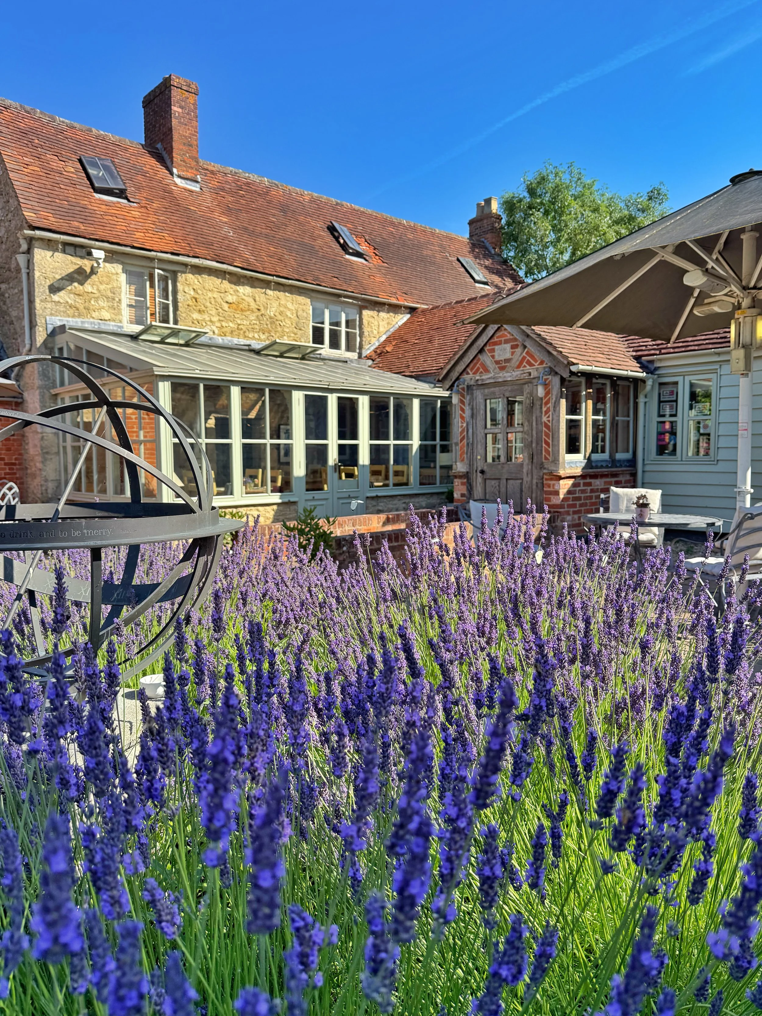 The Mole Inn