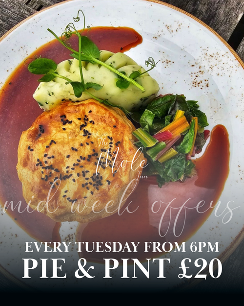 Food & Drink — The Mole Inn