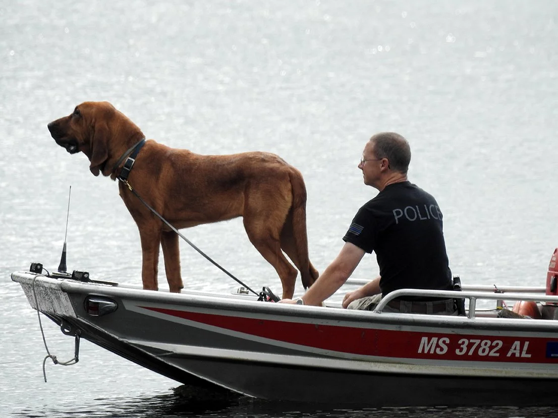About 5 — Northeast Houndsmen