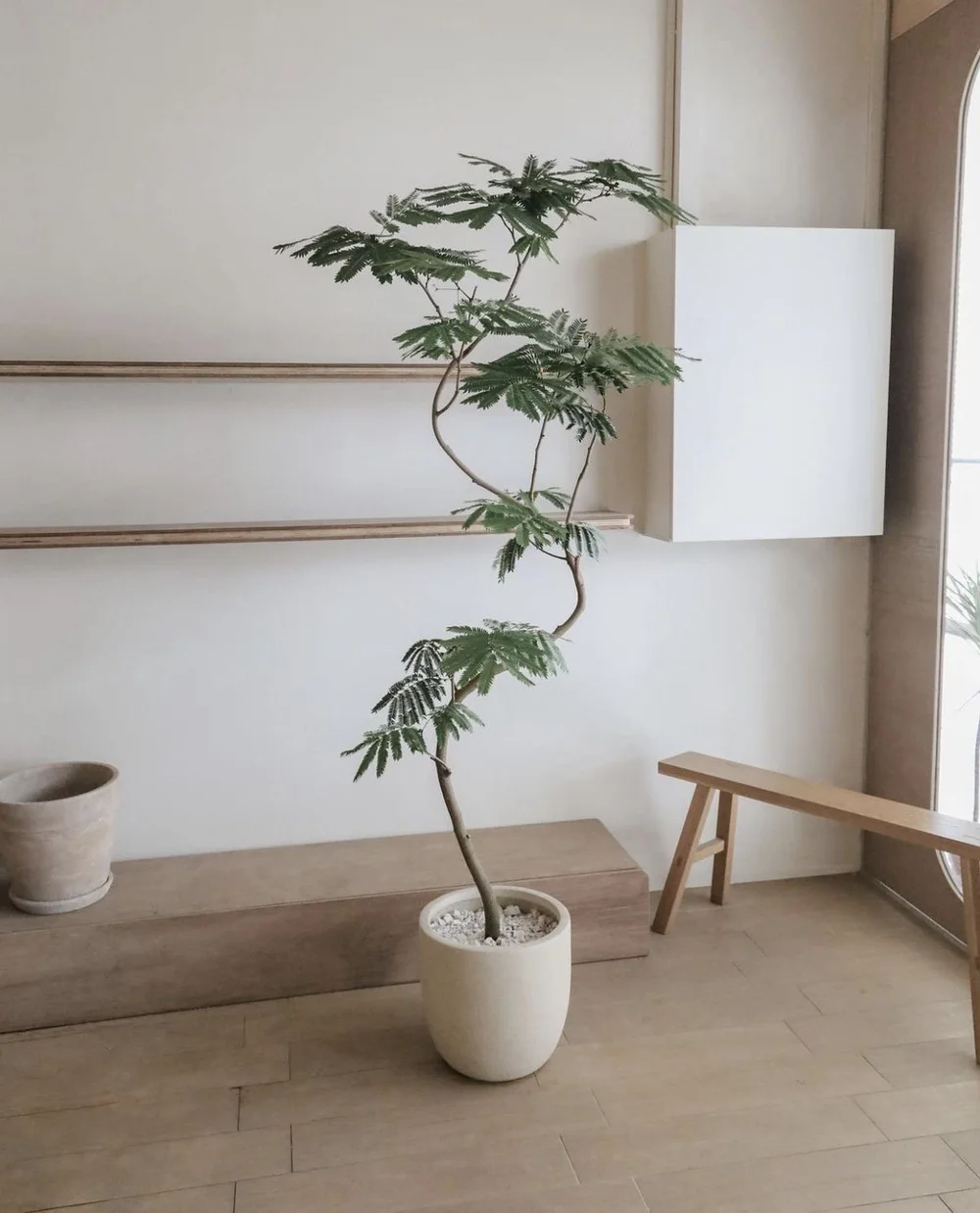 Napa Design Park - The Guide of Affordable Housing