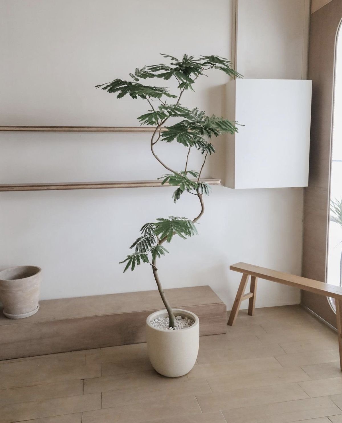 Napa Design Park - The Guide of Affordable Housing