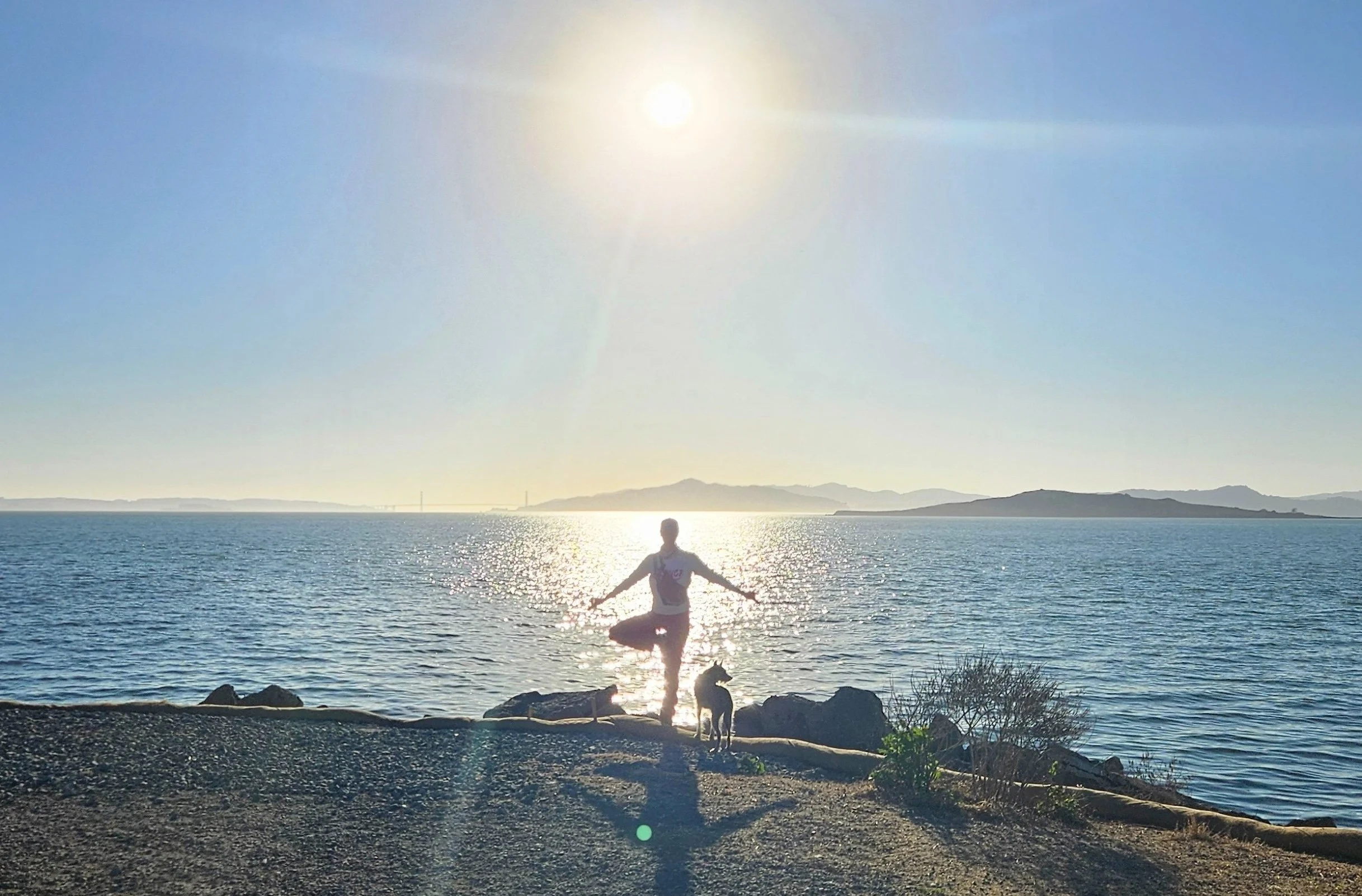 Sol Medicine: A Wisdom Journey Around the Sun with DeAnn Barry — Green Yogi