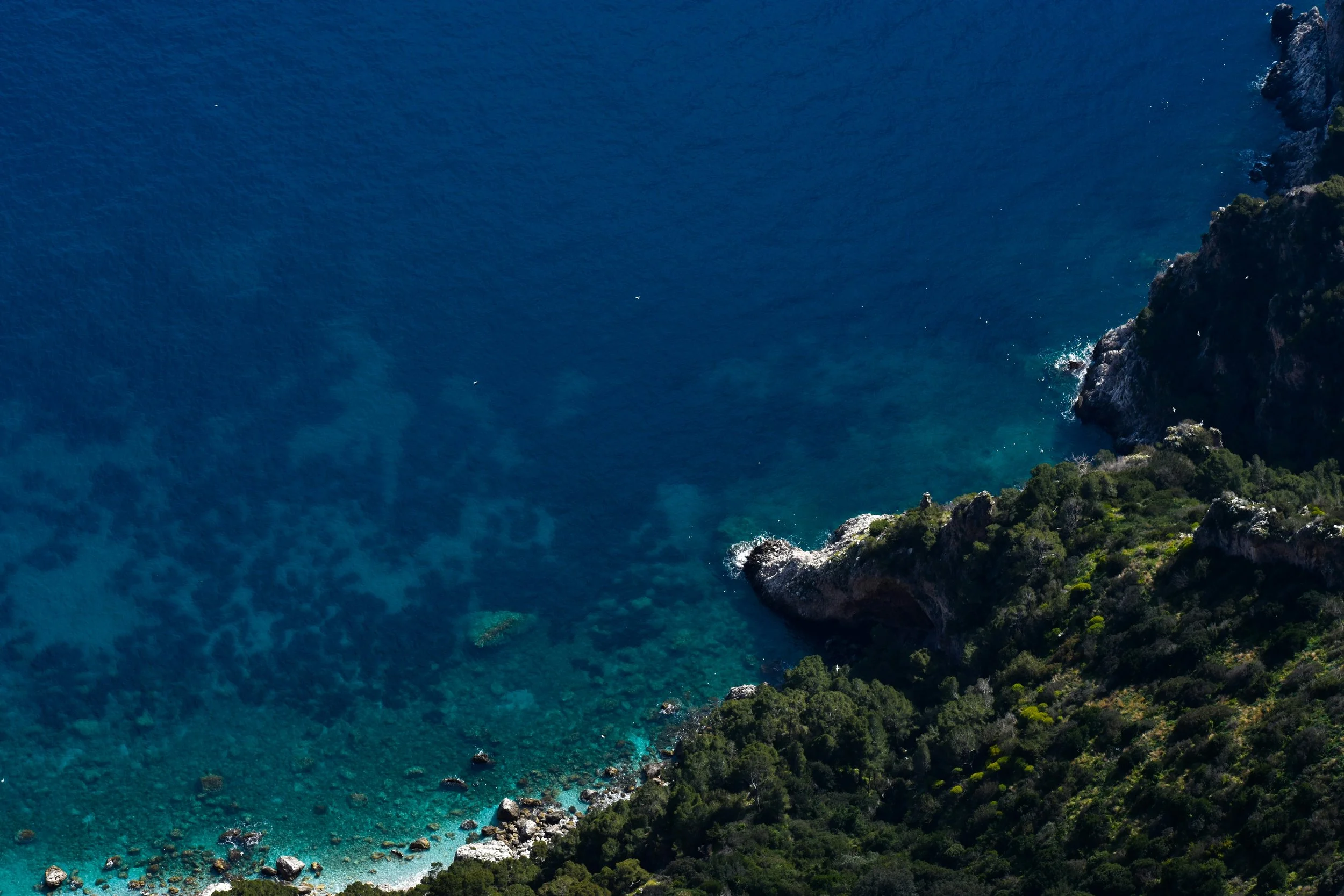 Premise — Capri Capital Partners