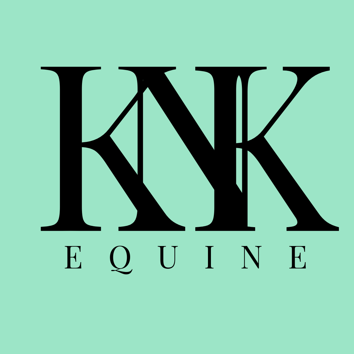 Services | Experience Expert Equine Care - Book Today — KNK Equine