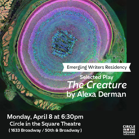 Emerging Writers Residency — Your Site Title