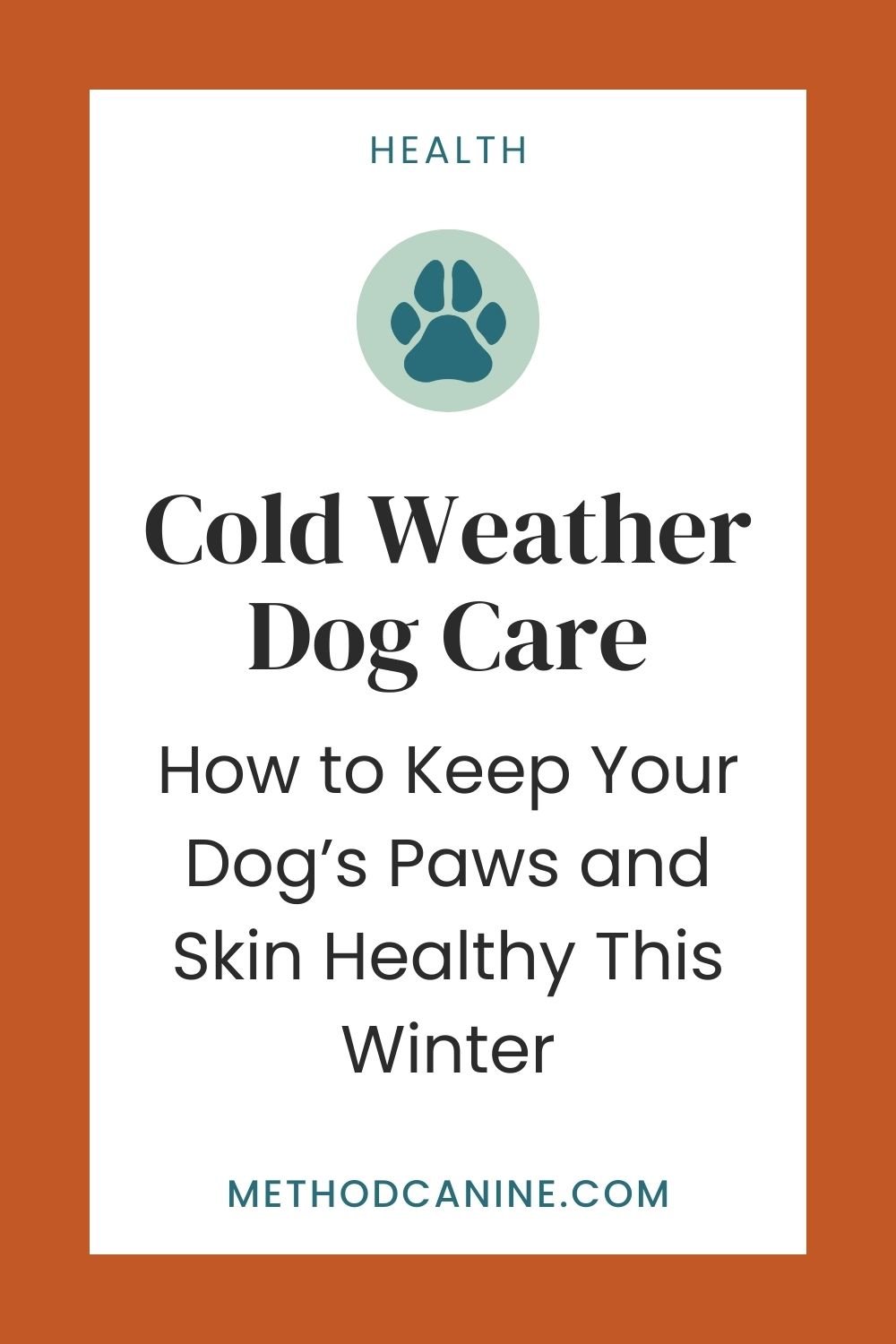 Winter Dog Care: Protecting Paws and Skin in Cold Weather