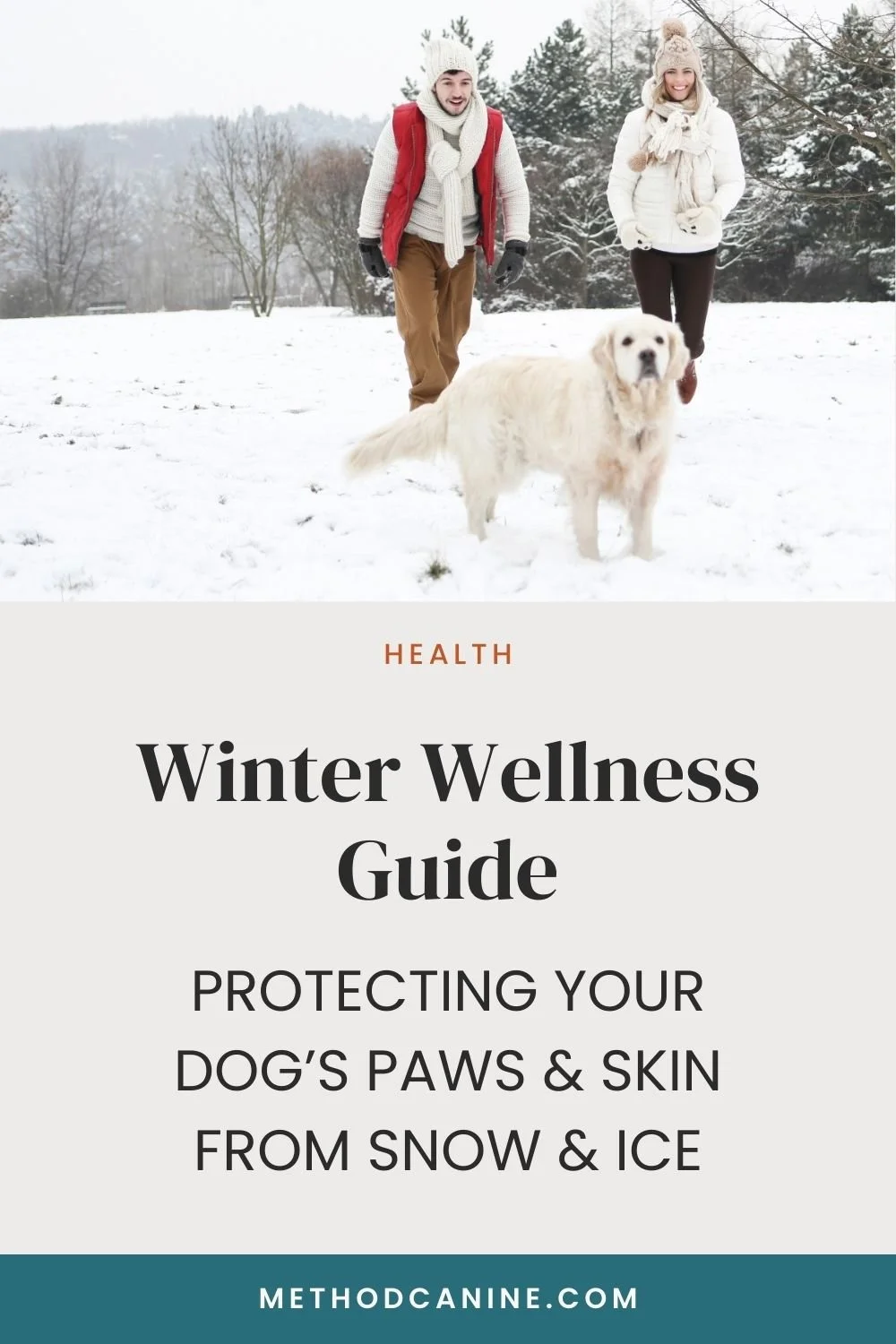 Winter Dog Care: Protecting Paws and Skin in Cold Weather