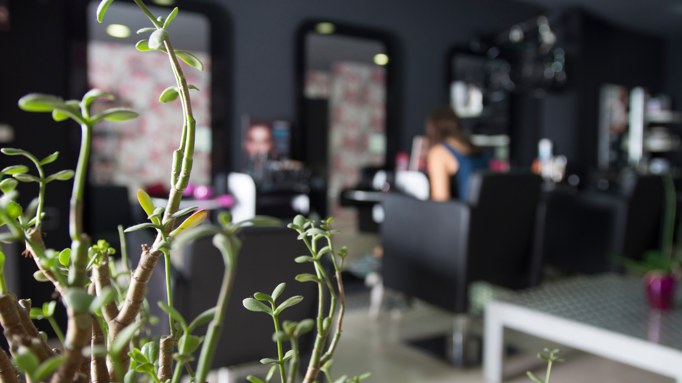 Job Listings — My Hair Career