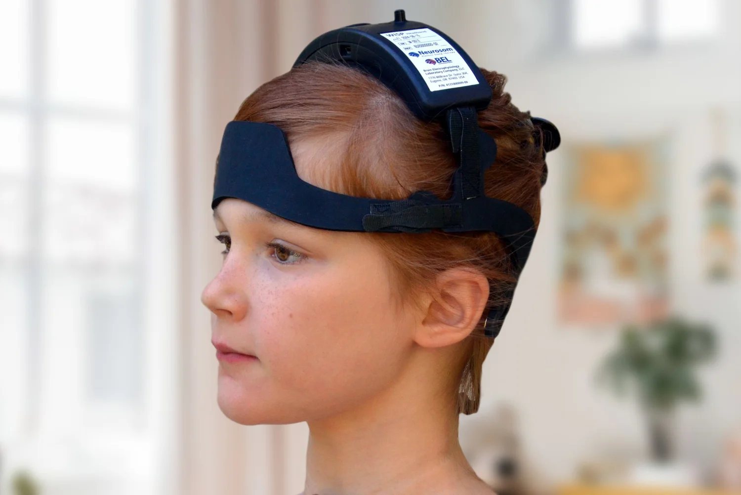 Sleep WISP — BEL Brain Electrophysiology Lab