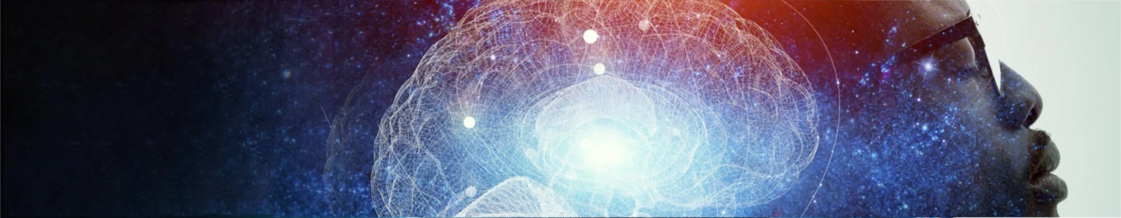 Contact Us — BEL Brain Electrophysiology Lab