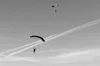 Skydiving Boise, ID | Voted Idaho's Best | Skydive Skydown