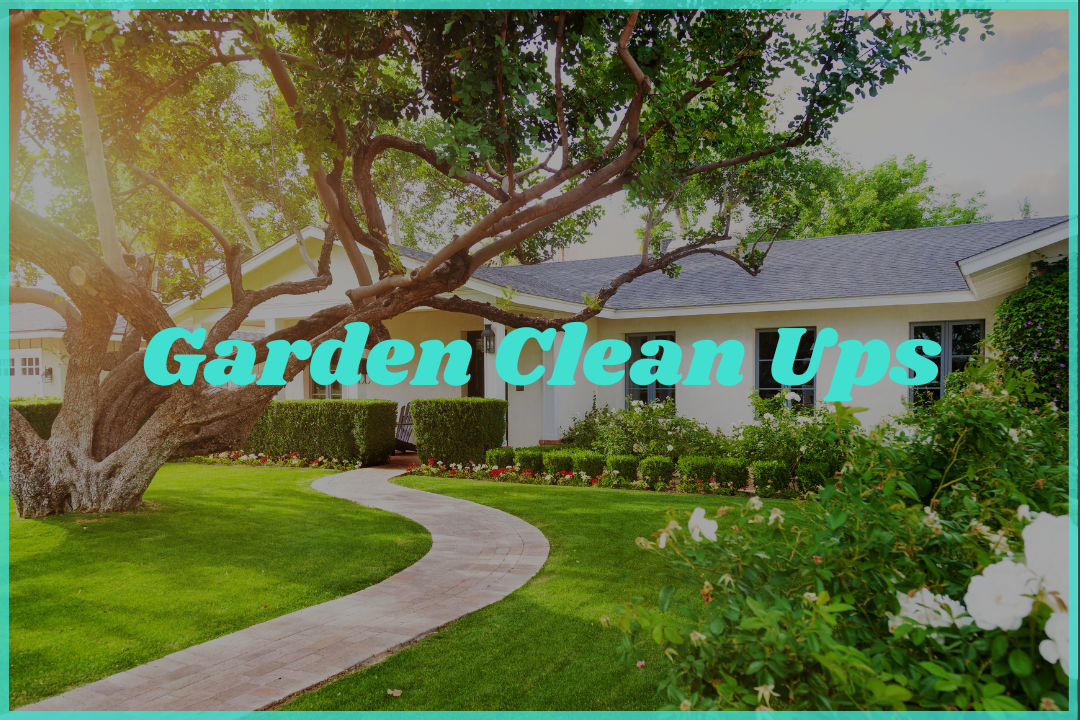 Residential — Green Edge Gardening Gold Coast