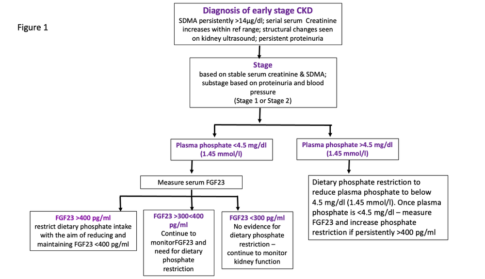 A review of the role of fibroblast growth factor 23 — IRIS