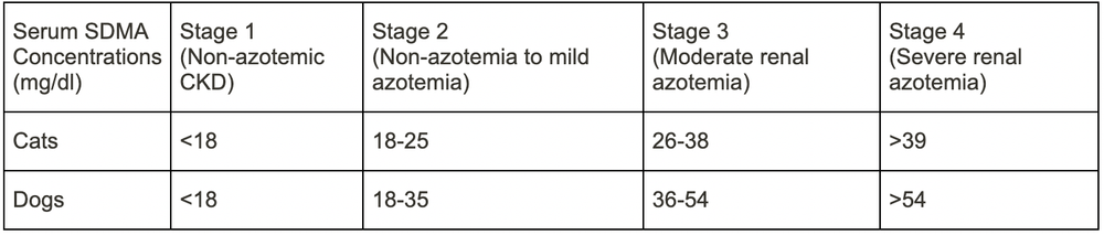 Utility of Creatinine, UPC, and SDMA in the Early Diagnosis of CKD in ...