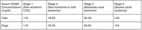 Utility of Creatinine, UPC, and SDMA in the Early Diagnosis of CKD in ...