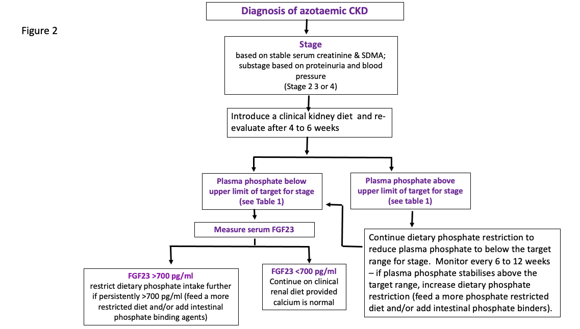 A review of the role of fibroblast growth factor 23 — IRIS
