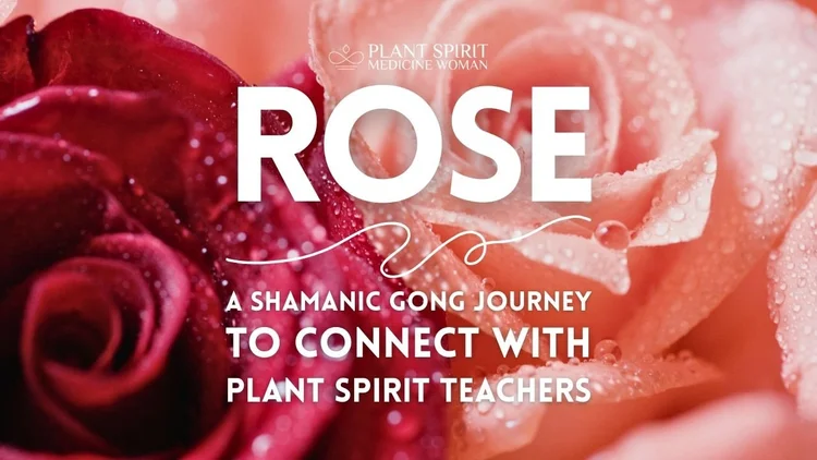 Rose: Myth, Magic & Medicine — The Sacred Heart Healer