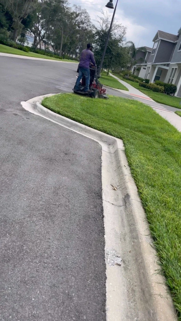 Sunset Kings Landscaping