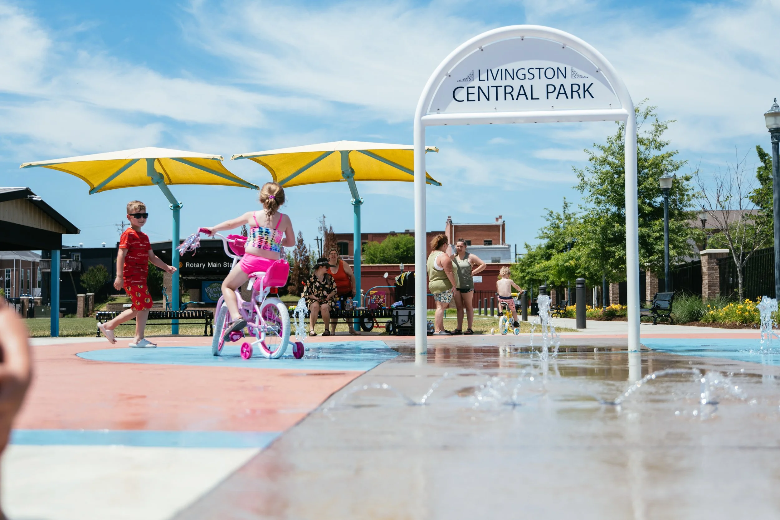 Community — City of Livingston, TN
