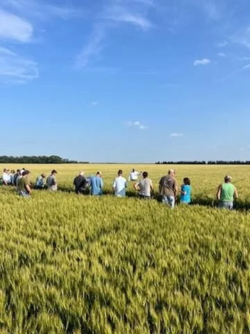 Trial Data — Hankey Seed