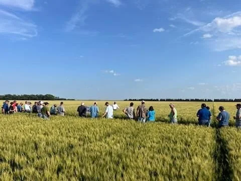 Trial Data — Hankey Seed