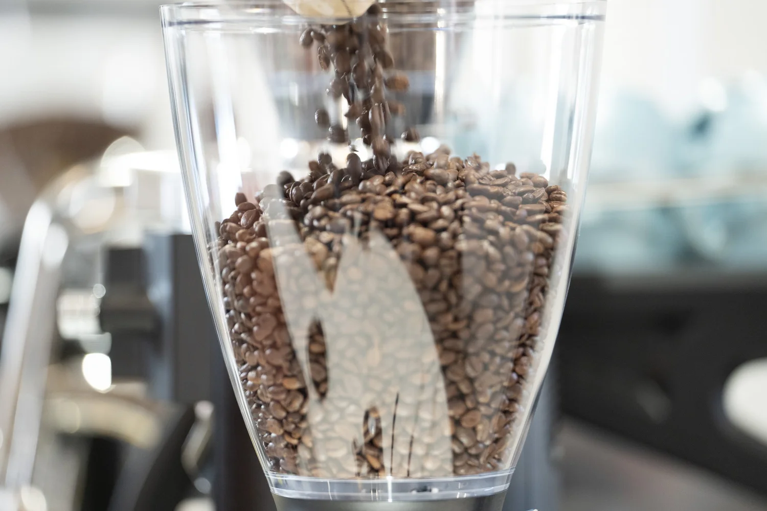 LuDy Cafe - Specialty Australian Coffee Shop in Irvington, NY