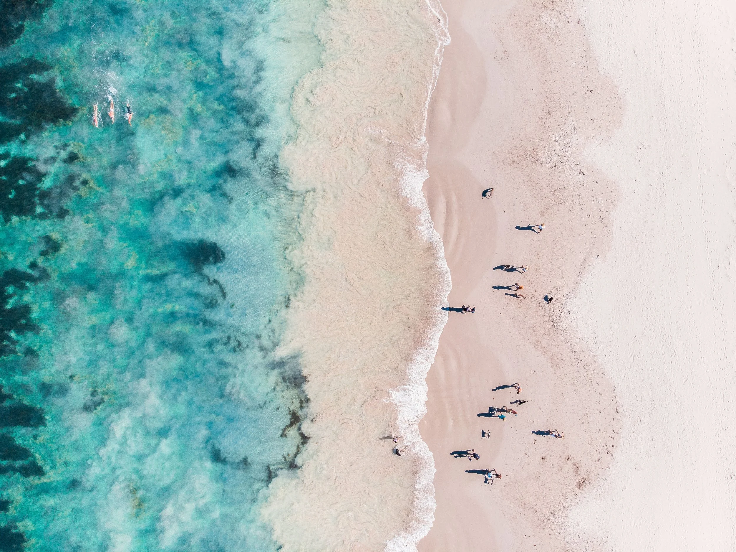 Bluebottle Digital Infrastructure Fund — JellyC - Digital Asset Management