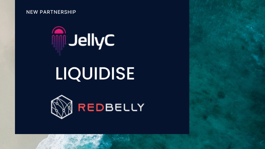 JellyC Cryptocurrency Investment Insights — JellyC - Digital Asset Management
