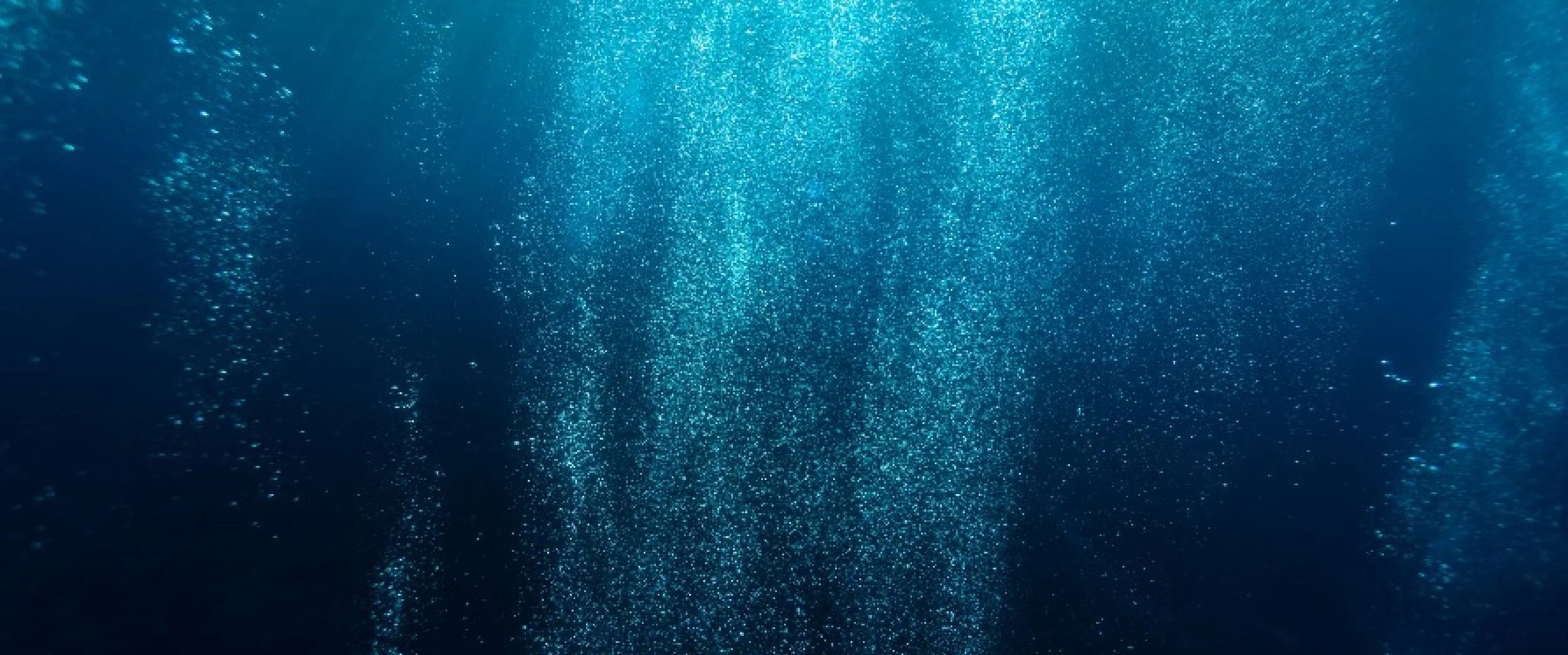 JellyC - Digital Asset Management