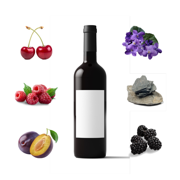 Mencía: Northwest Spain's Star Grape — The Wines of Galicia