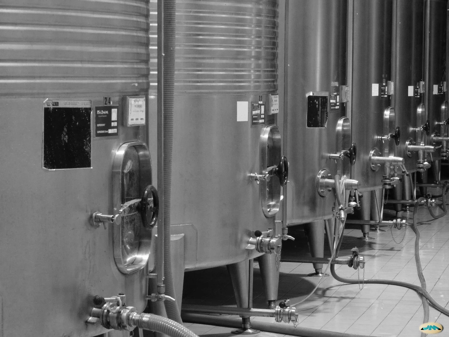 Albariño: The Ultimate Guide — The Wines of Galicia
