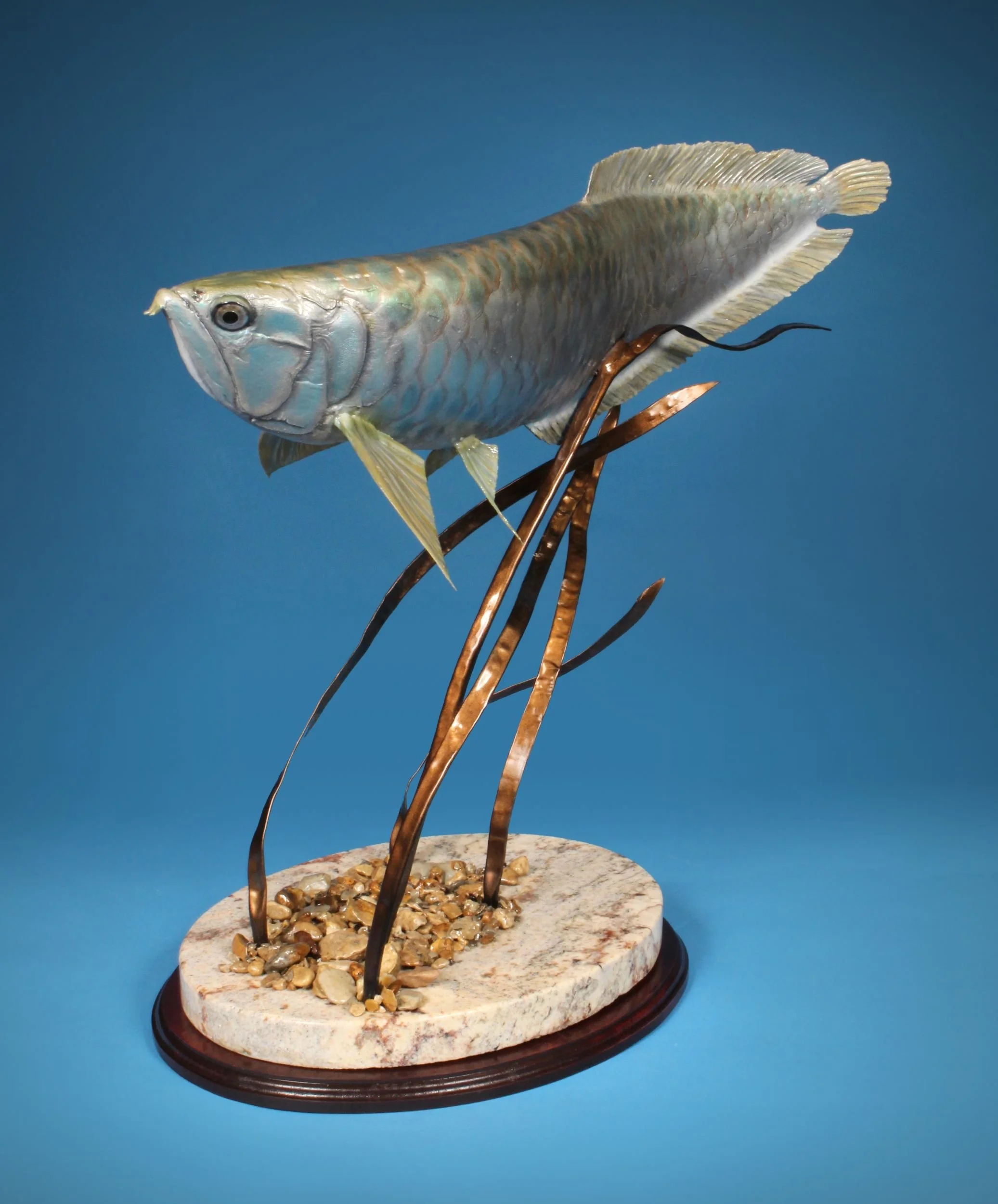Fish — Showpiece Taxidermy