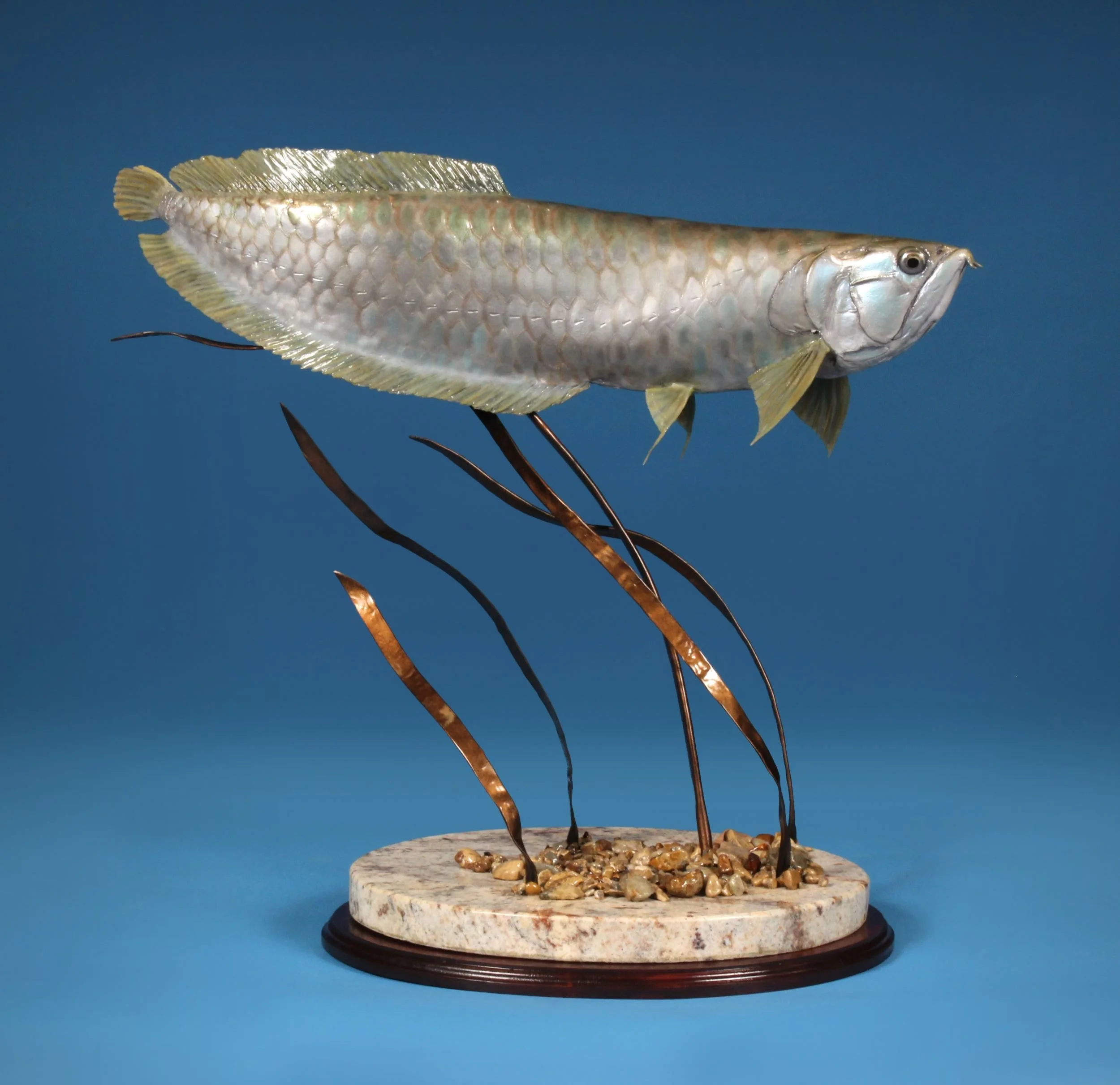 Fish — Showpiece Taxidermy