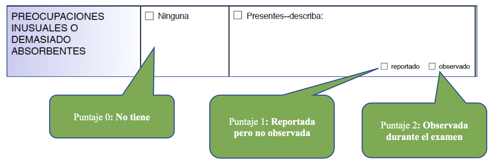 AMSE Instructions (Español) — AMSE