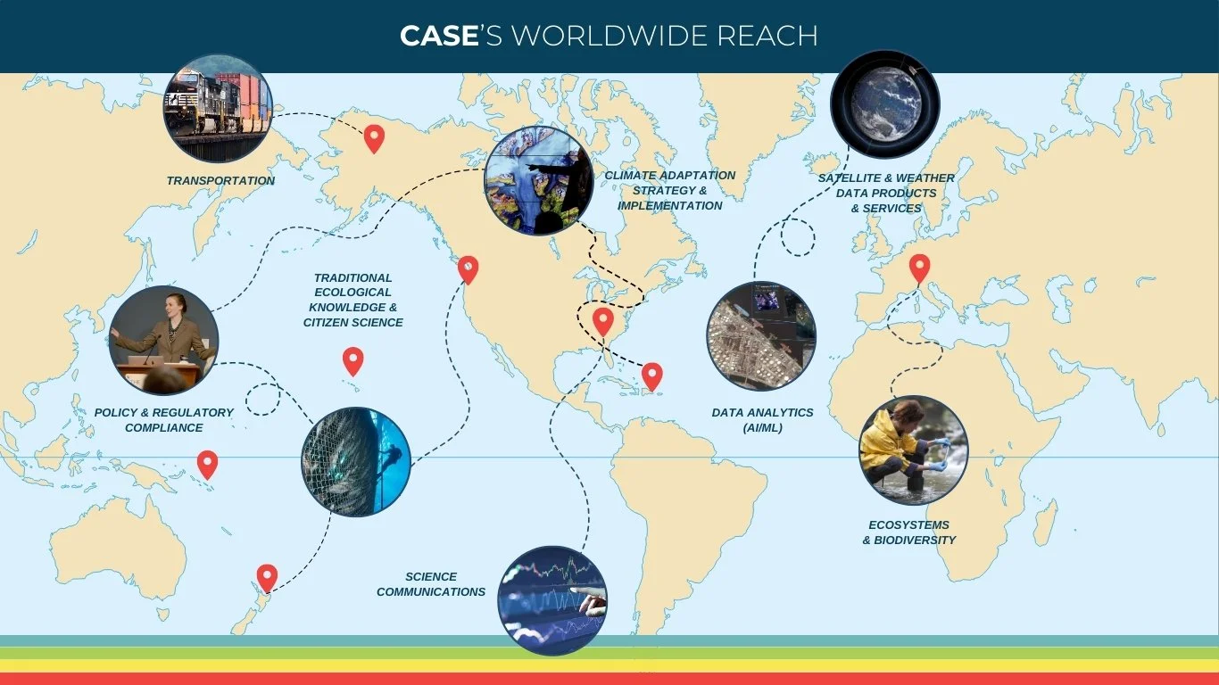 Team — CASE Consultants