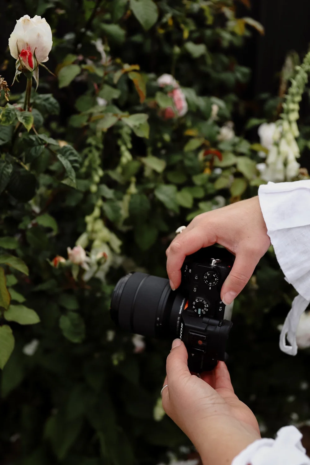 7 Common Beginner Photography Mistakes (And Why They're Normal) — THE ...