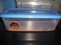 Tutorial: How to Create a Humidity Hide! And Also: How to Create a ...