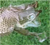 How Do Snakes and Other Reptiles Shed Their Skin!? — Wisconsin ...