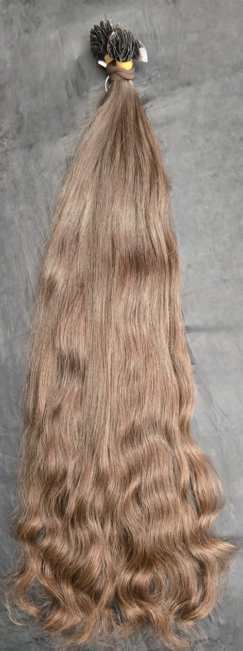 Store 2 — House of Extensions