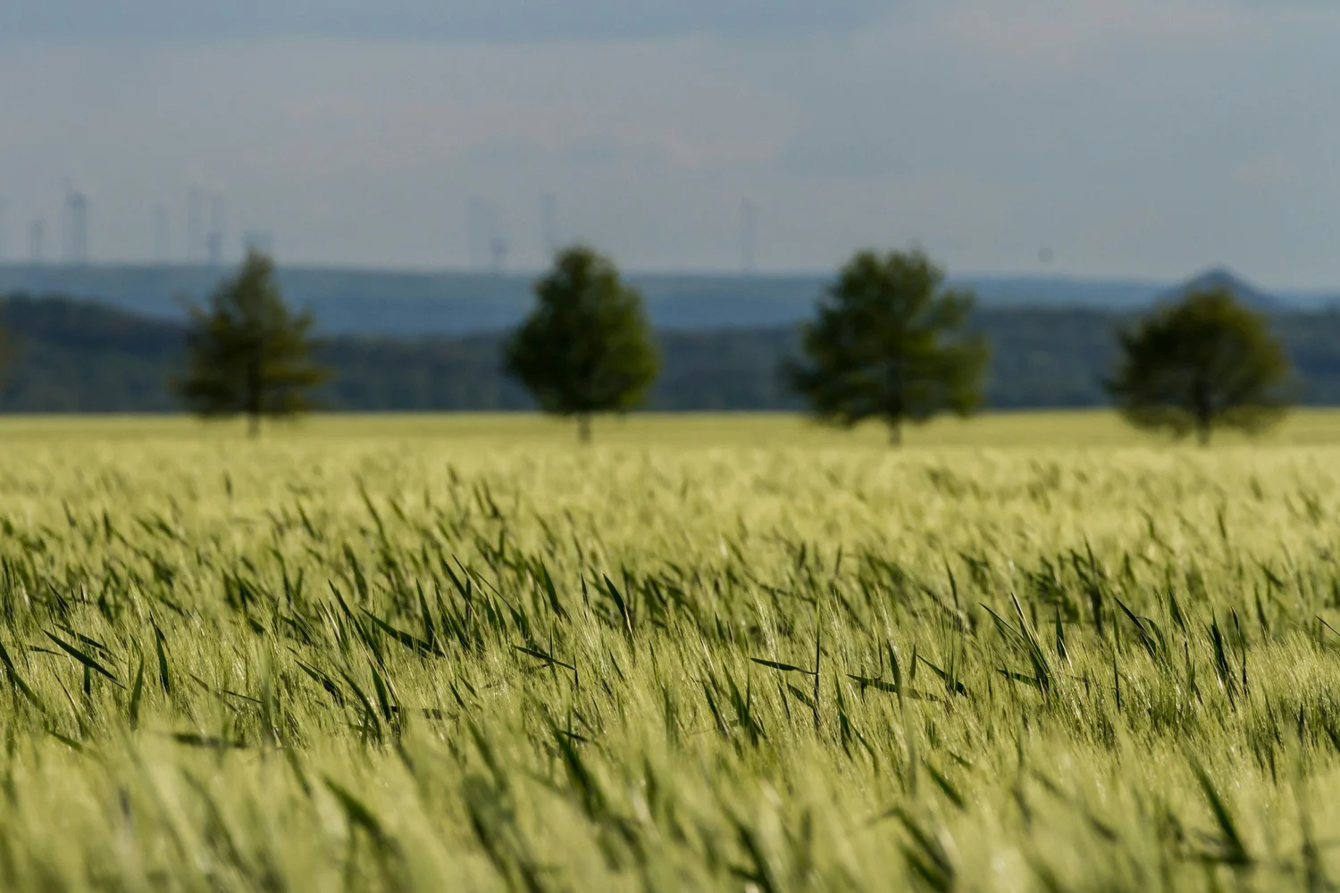 Gro-Sure | Fertiliser, Seed Dressings and Adjuvant Solutions for ...