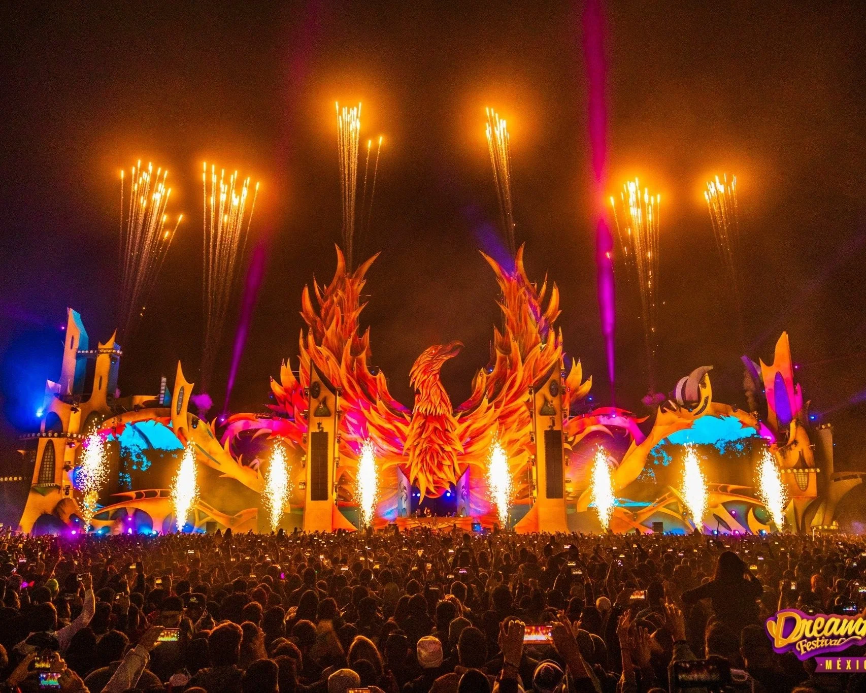 Dreamfields México; Evolución a través de los años — Festivales y ...