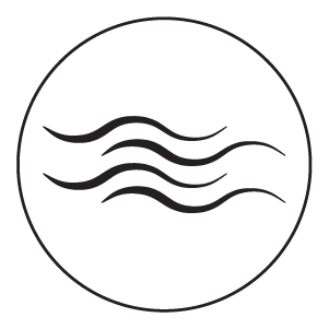 Pollogen | Geneo X — Professional Beauty Solutions