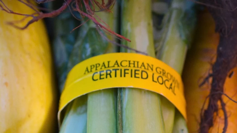 Learn More | Explore Local Food Options — Get Involved Now — Foothills ...