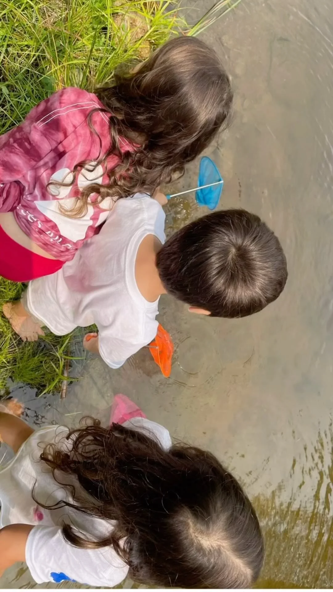 our program — Gale River